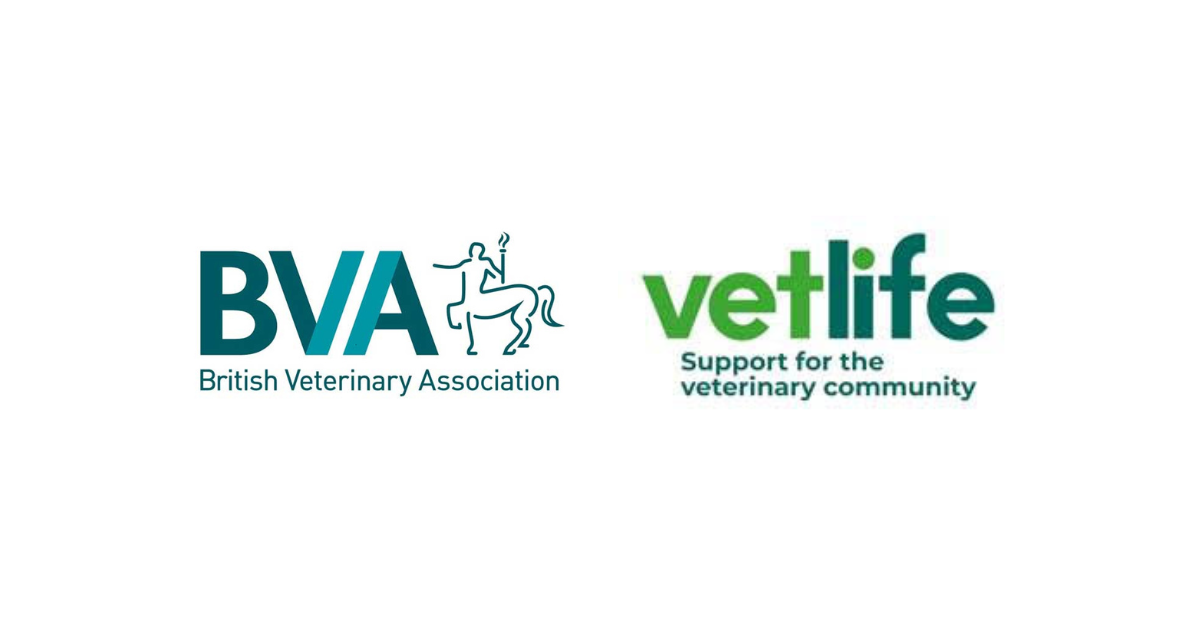 BVNA and Vetlife announce exciting new collaboration to benefit all ...